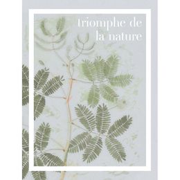 Komar Bild &raquo;PLANT ART Triomphe de la nature&laquo; Natur 1 Stk. tlg. Wandbild zur Dekoration - ohne Rahmen blau Holz, Papier B/H/T: 30cm x 40cm, Wandbild Natur, 1