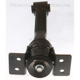 TRISCAN Lagerung, Motor 850516100 f&uuml;r Ford