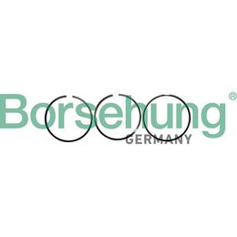 BORSEHUNG Kolbenringsatz b10362 f&uuml;r VAG
