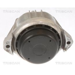 TRISCAN Lagerung, Motor 850511107 f&uuml;r BMW