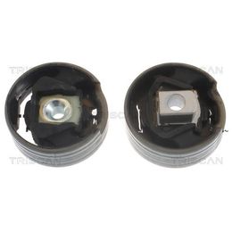 TRISCAN Lagerung, Motor 850529114 f&uuml;r VW