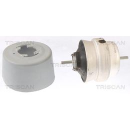 TRISCAN Lagerung, Motor 850529108 f&uuml;r Audi