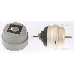 TRISCAN Lagerung, Motor 8505 29101 f&uuml;r Audi SEAT