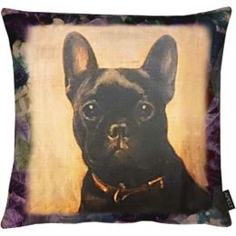 Dekokissen Apelt, B:46cm L:46cm, beige, Obermaterial: 100% Polyester, Dekokissen_Sitzkissen_Kissenh&uuml;llen, "Harry", mit Bulldogge
