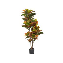 Beliani Kunstpflanze CODIAEUM in Gr&uuml;n/Schwarz/Braun - (W) 75 x (H) 140 x (L) 75 cm | Gr.: onesize