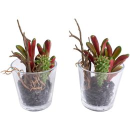 K&uuml;nstliche Zimmerpflanze &raquo;Sukkulenten Arrangement im Glas&laquo; gr&uuml;n Kunststoff &Oslash;/H: 11cm x 15cm, 2 Stk.