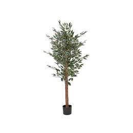 Beliani Kunstpflanze FICUS in Gr&uuml;n/Schwarz - (W) 80 x (H) 167 x (L) 80 cm | Gr.: onesize