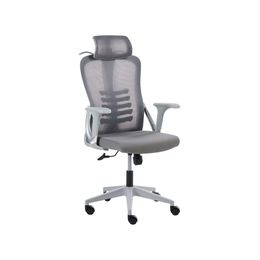 Beliani Professioneller B&uuml;rostuhl ERGONOX in Grau/Schwarz | Gr.: onesize