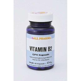 Hecht-Pharma Vitamin B2 Gph 1,6 mg Kapseln 90 St