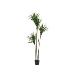 Beliani Kunstpflanze DRACAENA DRACO in Gr&uuml;n/Braun - (W) 50 x (H) 165 x (L) 50 cm | Gr.: onesize
