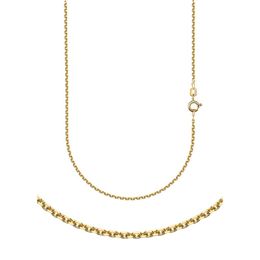 Firetti Herren Collierkettchen &raquo;Schmuck Geschenk Gold 333 oder 585 Halskette Ankerkette diamantiert&laquo; Made in Germany gold 36, Gelbgold 333, B: 1,6mm