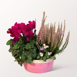 Romantisches Herbstk&ouml;rbchen | FloraPrima Blumenversand | Blumen und mehr versenden
