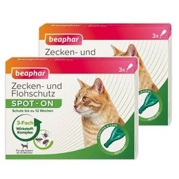 beaphar Zecken- und Flohschutz SPOT-ON f&uuml;r Katzen 6 x 0,8 ml