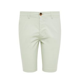 Threadbare. Threadbare Chino Pants 'Northsea' male size 40 Pastel green