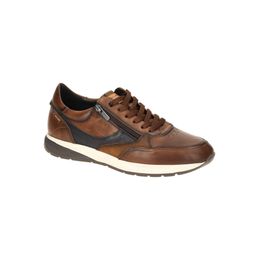 Pikolinos Schn&uuml;rschuh 'Pikolinos Getafe Schuhe braun cuero M2B-6398C1' Herren Gr&ouml;&szlig;e 41 braun