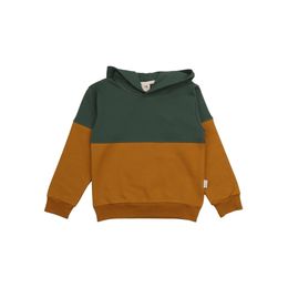 Walkiddy Sweatshirt 'Crazy Machines' Jungen Gr&ouml;&szlig;e 110 gr&uuml;n