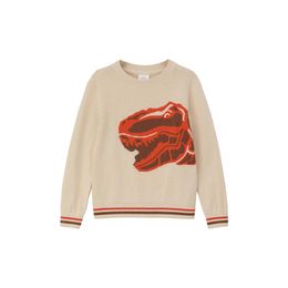 s.Oliver Pullover Jungen Gr&ouml;&szlig;e 116 beige / braun / orange