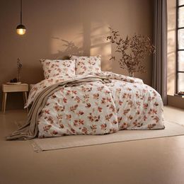 Estella Bettw&auml;sche &raquo;Sicina&laquo; 2 Flanell, Bezug: 100% Baumwolle B/L: 155cm x 220cm, 1 Stk., 1 Stk., Flanell, B/L: 80cm x 80cm, 2