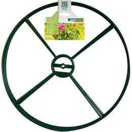 Windhager Rankhilfe &raquo;Pflanzenring STANDARD, Rankhilfe f&uuml;r Kletterpflanzen, Rankgitter&laquo; Pflanzenring 40 cm, 3 St&uuml;ck, gr&uuml;n Kunststoff Einheitsgr&ouml;&szlig;e