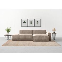 Trendmanufaktur Ecksofa &raquo;Braga, mit hochwertigem Kaltschaum, L-Form, Japandi-Design&laquo; modernes Sofa, Couch mit hohem Sitzkomfort, 275/72/160 cm (B/H/T)
