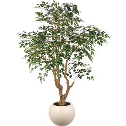 Creativ green Kunstbaum &raquo;Ficus benjamina&laquo; in beeindruckender Gr&ouml;&szlig;e Obermaterial: 75% Polyester, 25% Kunststoff B/H/L: 210cm, 1 Stk.