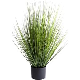 Kunstgras &raquo;Grasarrangement King Festuca&laquo; gr&uuml;n Kunststoff &Oslash;/H: 50cm x 74cm, 1 Stk.