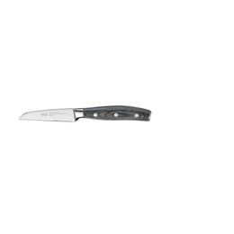 R&ouml;sle R&Ouml;SLE Gem&uuml;semesser &raquo;WOLFGREY, 9 cm, Griff Pakka&laquo; grau X50 CrMoV15 Klingenstahl Klingenl&auml;nge 9cm