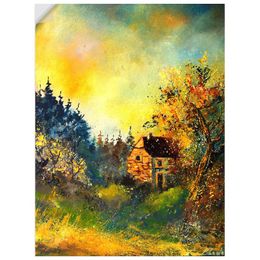 Artland Wandbild &raquo;Remote house&laquo; Gartenbilder 1 Stk. tlg. als Alubild, Leinwandbild, Poster, Wandaufkleber in verschied. Gr&ouml;&szlig;en bunt Vinyl B/H/T: 90cm x 120cm 