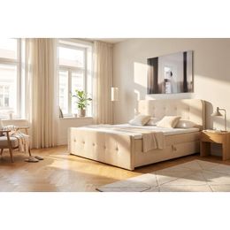Home Affaire Boxbett &raquo;Amrum, Polsterbett mit Bettkasten, inkl. Taschenfederkernmatratze H3&laquo; mit Kaltschaumtopper, Chenille-Bezug, 120x200 & 180x200 cm