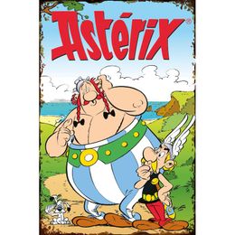 LuckyLinde Metallbild &raquo;Asterix, Obelix und Idefix II&laquo; Fantasy Figuren Film Filmfiguren 1 Stk. tlg. Stahlschild 20x30 cm Wanddeko Bild zum Film "Kampf 