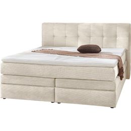 Jockenh&ouml;fer Boxspringbett &raquo;Amy&laquo; mit 6 cm Kaltschaum-Topper, Cord-Bezug, 180x200 und 200x200 cm beige Bezug Bett: Cordstoff (100% Polyester);Topper und 