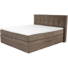 Jockenh&ouml;fer Boxspringbett &raquo;Amy&laquo; mit 6 cm Kaltschaum-Topper, Cord-Bezug, 180x200 und 200x200 cm beige Bezug Bett: Cordstoff (100% Polyester);Topper und 
