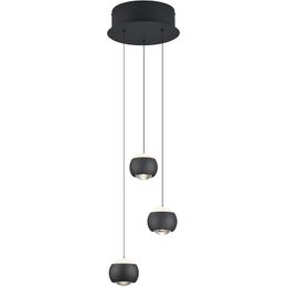 Musterring LED Pendelleuchte &raquo;CANNON, 3-flammige LED H&auml;ngelampe 5W 500Lumen 2300-4000K CCT&laquo; LED-Board 1 Stk. Farbwechsler warmwei&szlig; - kaltwei&szlig; mit Fernbedienung, 