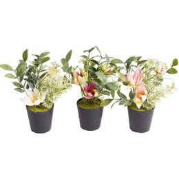 K&uuml;nstliche Zimmerpflanze &raquo;Christrosen-Arrangement im schwarzen Kunststofftopf&laquo; orange Kunststoff &Oslash;/H: 13cm x 18cm, 3 Stk.