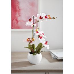 OTTO home Kunstorchidee &raquo;Ernestine&laquo; Kunstpflanze, im schwarzen oder wei&szlig;en Topf rosa Kunststoff B/H/L: 42cm, 1 Stk.