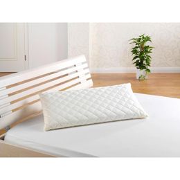 f.a.n. fan Dinkelk&ouml;rnerkissen &raquo;Dinkelkissen&laquo; F&uuml;llung: Mit F&uuml;llung 1 Stk. tlg. robustes Kissen mit naturgesunder F&uuml;llung beige B/H/L: 40cm x 60cm, Baumwolle, 