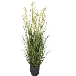 Creativ green Kunstgras &raquo;Gras-Mix-Busch&laquo; mit naturgetreuen Halmen Obermaterial: 100% Kunststoff B/H/L: 120cm, 1 Stk.