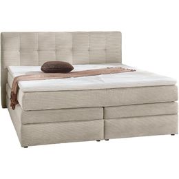 Jockenh&ouml;fer Boxspringbett &raquo;Amy&laquo; mit 6 cm Kaltschaum-Topper, Cord-Bezug, 180x200 und 200x200 cm beige Bezug Bett: Cordstoff (100% Polyester);Topper und 