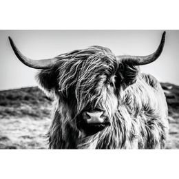 Leinwandbild &raquo;Wandbild HOCHLANDRIND &ndash; Leinwandbild Keilrahmen Deko modern&laquo; Hochlandrind Kuh Kuhbilder 1 Stk. tlg. auf Keilrahmen gespannt grau Canvas,
