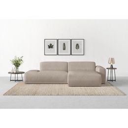 Trendmanufaktur Ecksofa &raquo;Braga, mit hochwertigem Kaltschaum, L-Form, Japandi-Design&laquo; modernes Sofa, Couch mit hohem Sitzkomfort, 275/72/160 cm (B/H/T)