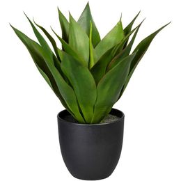 Creativ green K&uuml;nstliche Zimmerpflanze &raquo;Agave&laquo; gr&uuml;n Kunststoff B/H/L: 36cm, 1 Stk.