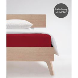 Fleuresse Spannbettlaken &raquo;Comfort&laquo; langlebig & b&uuml;gelfrei,Perfekte Passform durch POWER-STRETCH rot Jersey-Elasthan, Obermaterial: 96% Baumwolle, 4% 