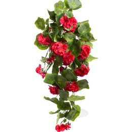 Kunstblume &raquo;Geranienh&auml;ngebusch&laquo; rot Kunststoff &Oslash;/H: 30cm x 60cm, 1 Stk.
