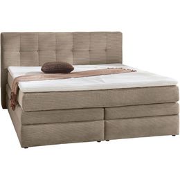 Jockenh&ouml;fer Boxspringbett &raquo;Amy&laquo; mit 6 cm Kaltschaum-Topper, Cord-Bezug, 180x200 und 200x200 cm beige Bezug Bett: Cordstoff (100% Polyester);Topper und 