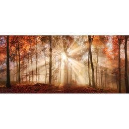 Bild &raquo;Wandbild HERBSTWALD XXL 90x200 cm &ndash; Leinwandbild Keilrahmen Deko&laquo; Sonnenaufgang & -untergang Wald Waldbilder auf Keilrahmen gespannt braun 