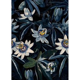 Art for the home Fototapete &raquo;Blumenmeer&laquo; gebl&uuml;mt glatt Blumenmeer Passionsblume280x200 cm bunt Vlies B/L: 2m x 2,8m