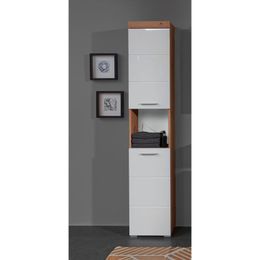 Welltime Hochschrank &raquo;Avena&laquo; Badschrank mit 2 T&uuml;ren & 1 Fach - (B/T/H) 37/31/190 cm asteichefarben, B/H/T: 37cm x 190cm x 31cm, T&uuml;ren: 2 Stk.
