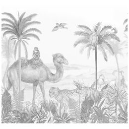 Art for the home Fototapete &raquo;Safari&laquo; botanisch glatt 280x300 cm grau Vlies B/L: 3m x 2,8m
