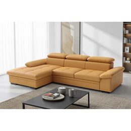 Sit & More sit&more Ecksofa &raquo;Viola, Leder, L-Form, B: 260 cm, mit Armteil- und Kopfteilvertsellung&laquo; optional mit Schlaffunktion beige B/H/T: 260cm x 73cm x 174cm