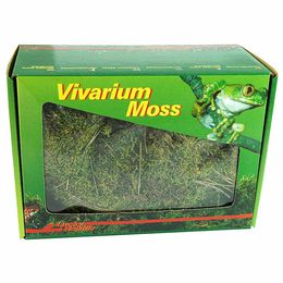 LUCKY REPTILE Vivarium Moss 150 g Terrarium Bodengrund